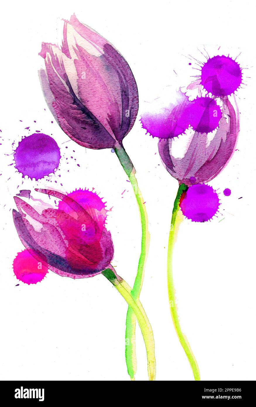 Tulip watercolor sketch hi-res stock photography and images - Alamy