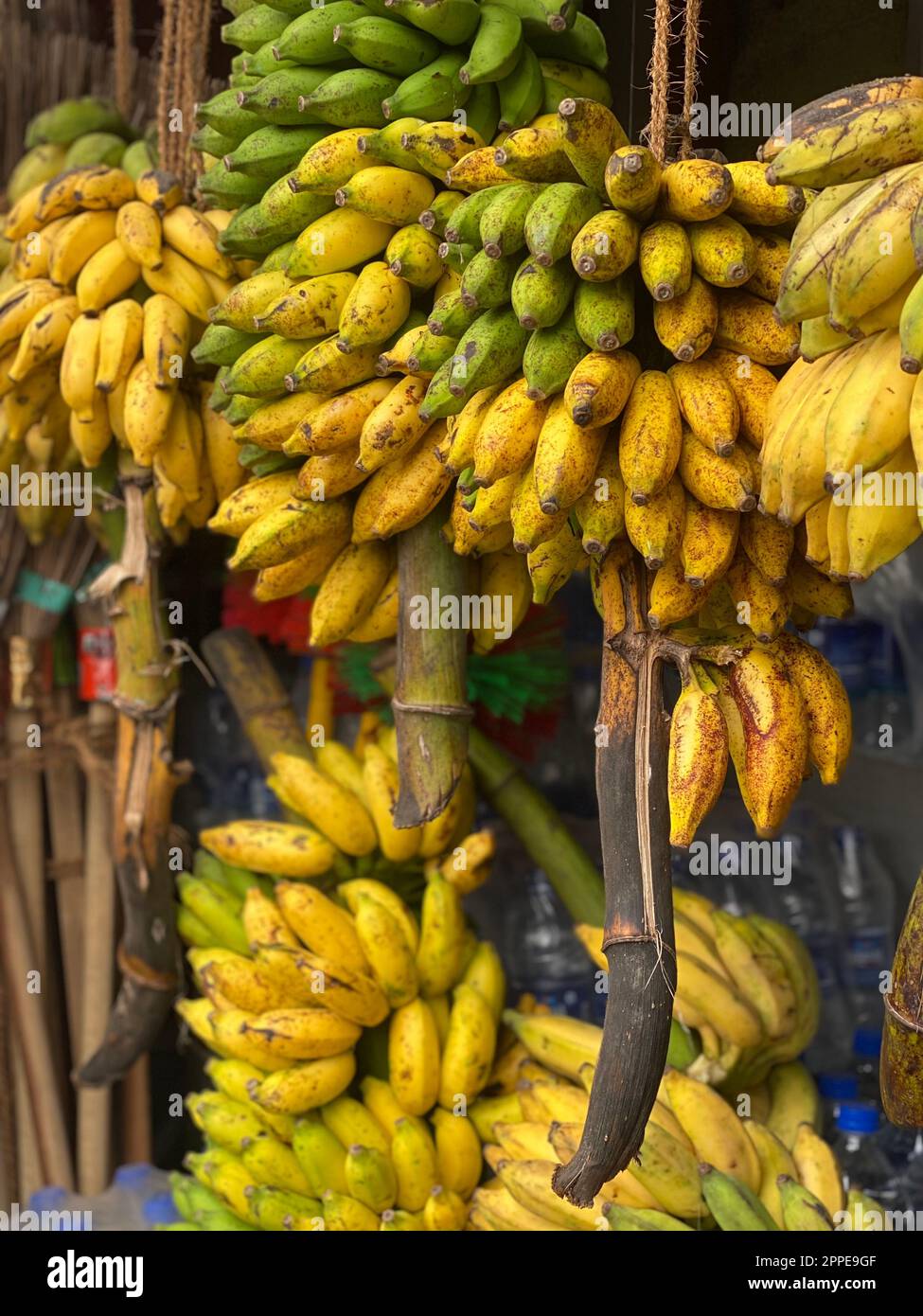 Pineapple shop hi-res stock photography and images - Alamy