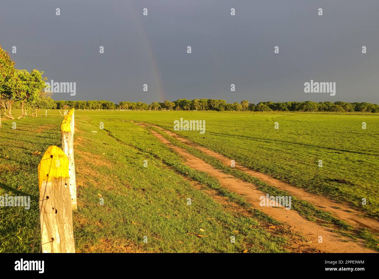 Idyllic view of pasture land with a path leading to the horizon with ...