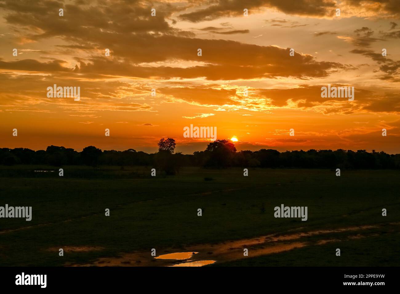Pantanal brazil wetland sunset hi-res stock photography and images - Alamy
