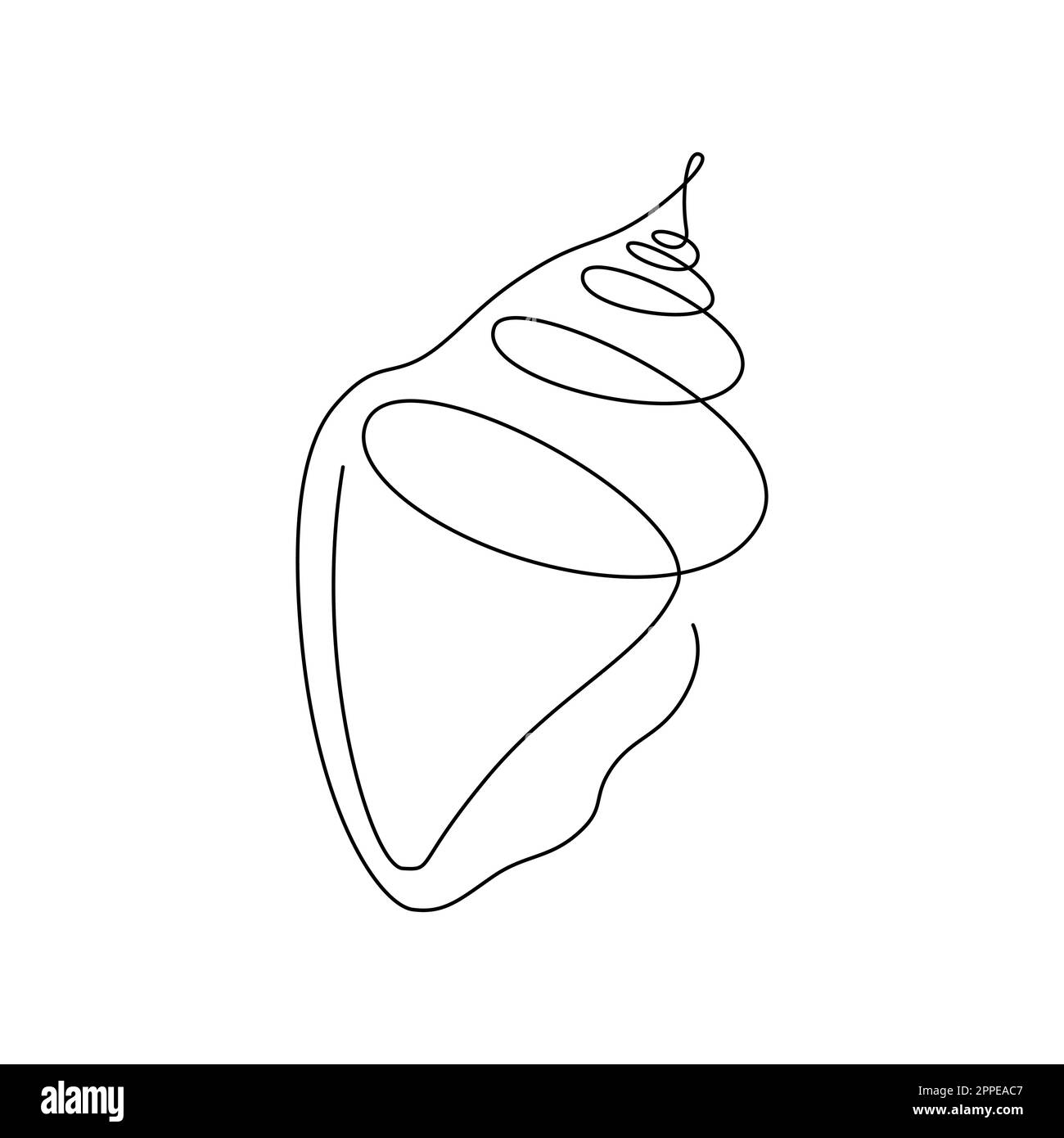 SHELL LINE ART. Vector seashell. Continuous Line Drawing Vector for ... SHELL LINE ART. Vector seashell. Continuous Line Drawing Vector for ...