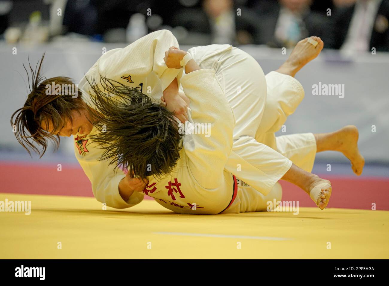 Women's judo championship hi-res stock photography and images - Alamy