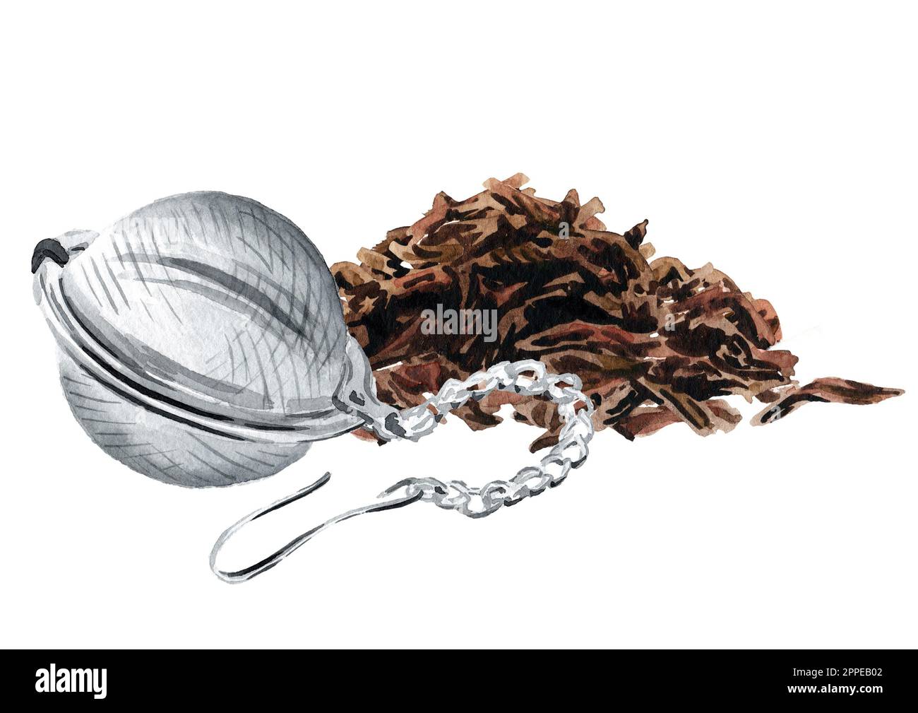 Black tea brew and Tea Brewing sieve. Hand drawn watercolor ...