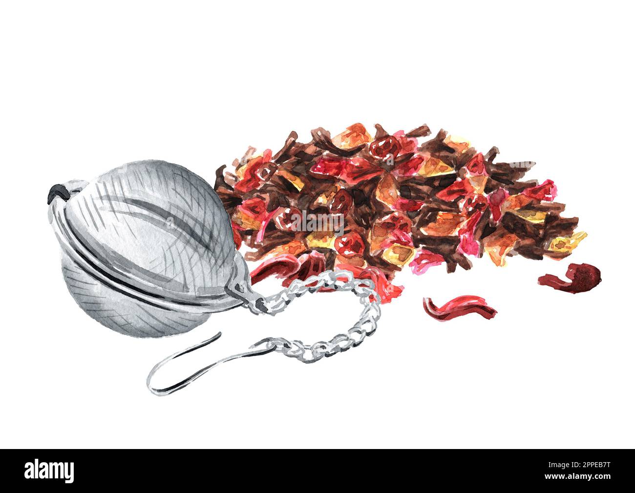 Fruit tea brew and Tea Brewing sieve. Hand drawn watercolor ...