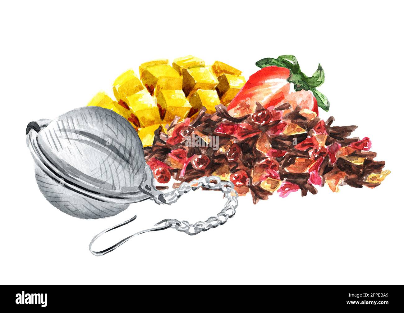 Fruit tea and Brewing sieve. Hand drawn watercolor illustration ...