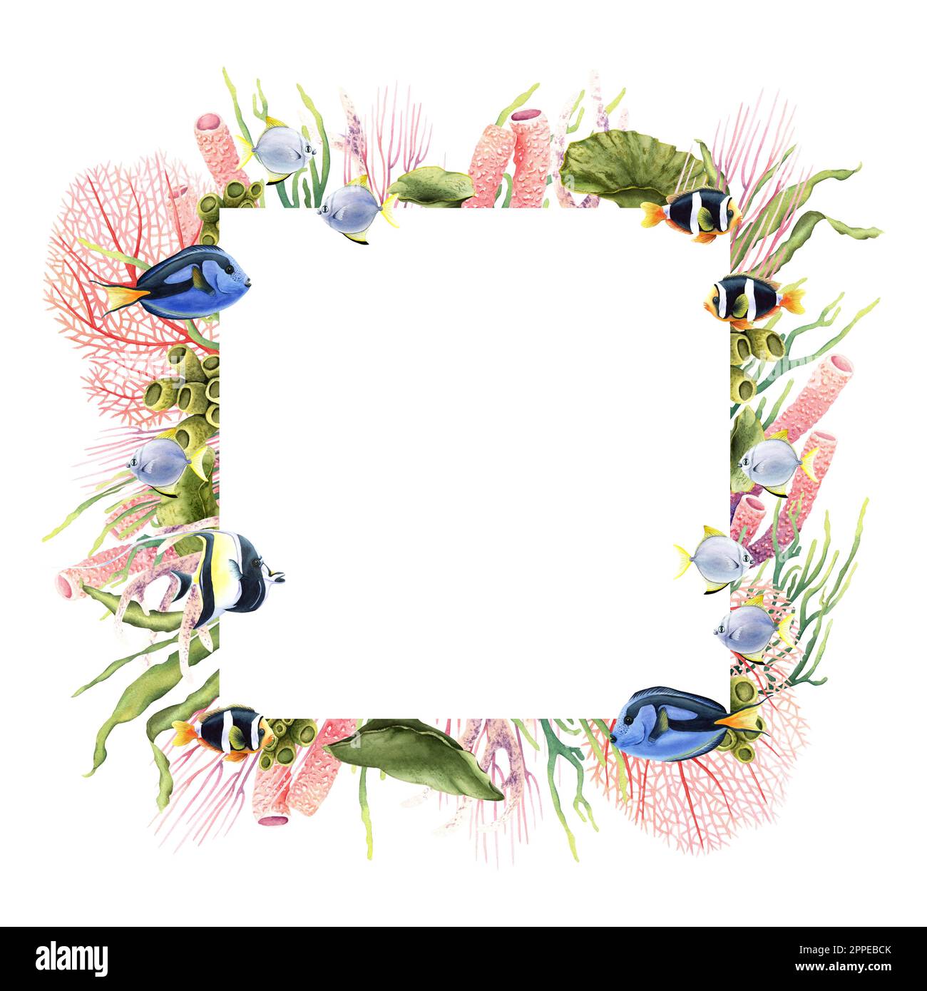 Square frame with underwater corals, plants and tropical fish. Hand ...