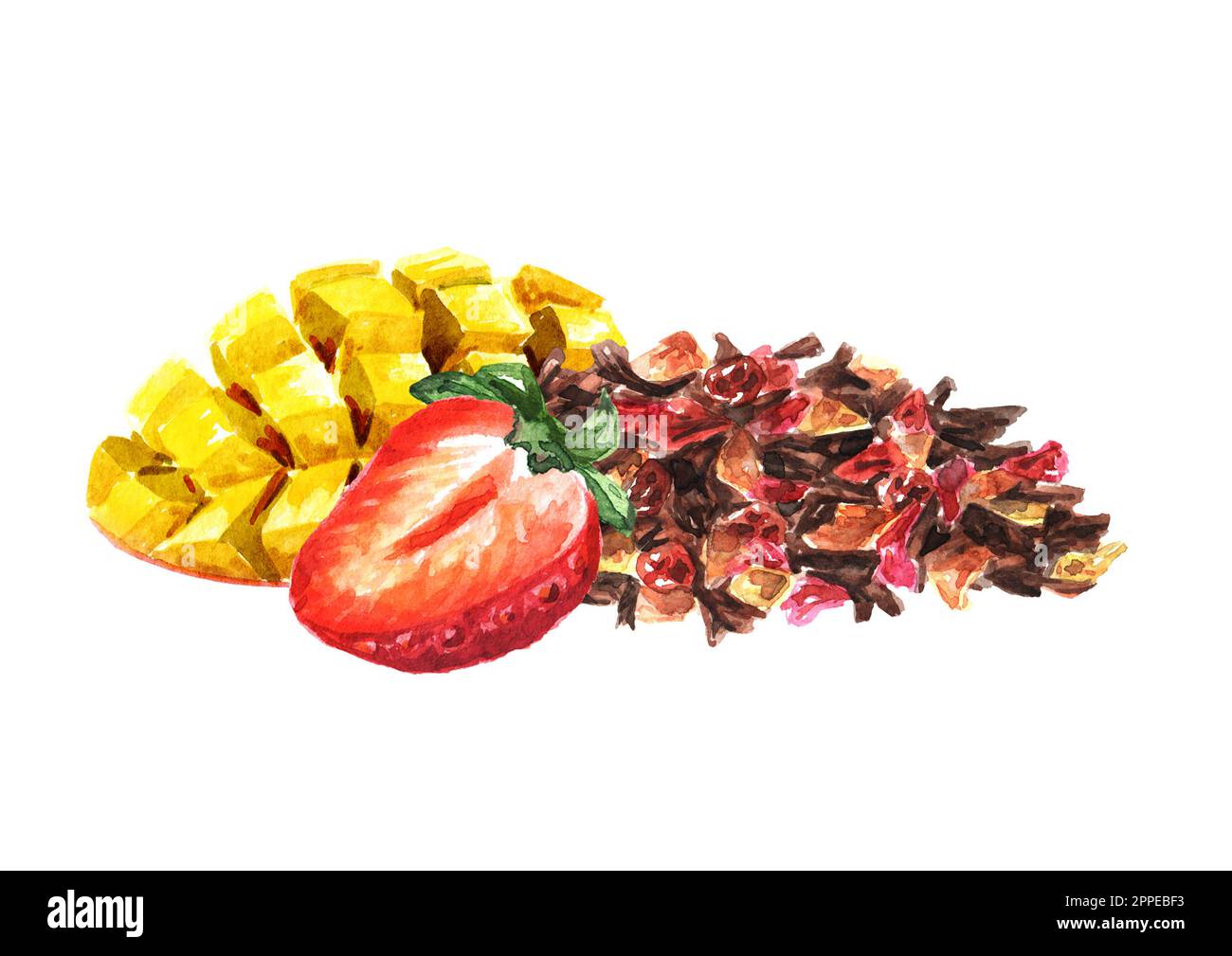 Fruit tea. Hand drawn watercolor illustration, isolated on white ...