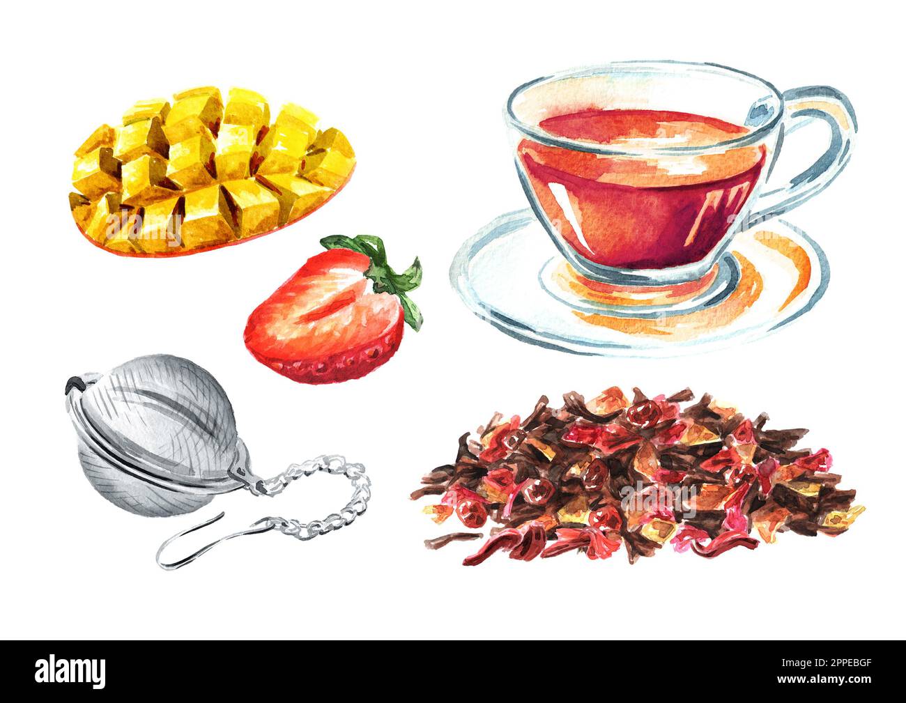 Fruits Fresh and dried, cup of tea and Brewing sieve set. Hand drawn ...