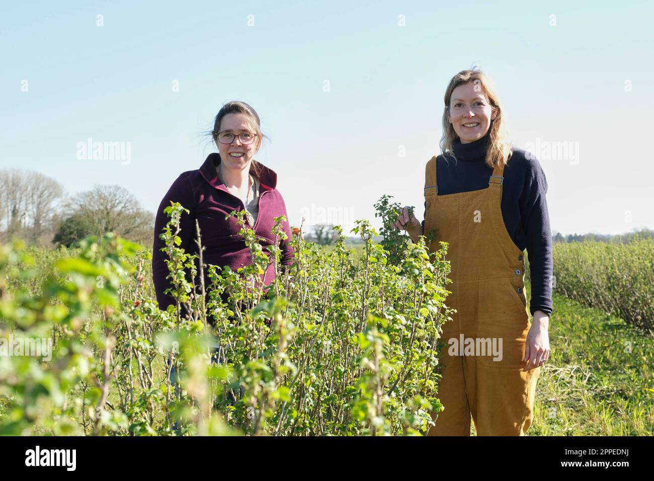 EDITORIAL USE ONLY Agronomist Harriet Prosser (left) and research lead ...