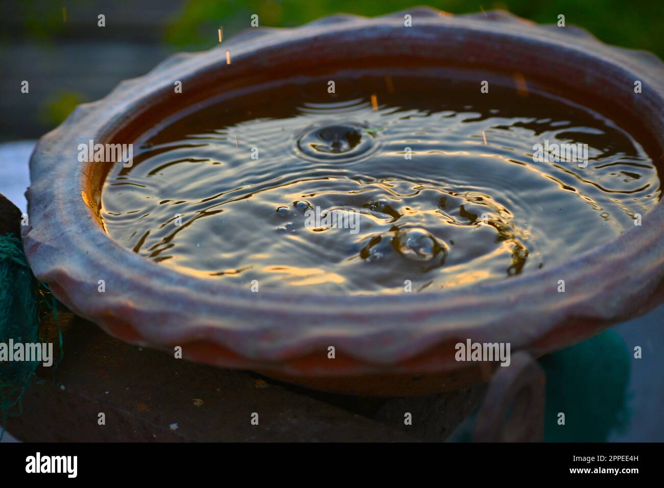 Birds water splash hi-res stock photography and images - Alamy