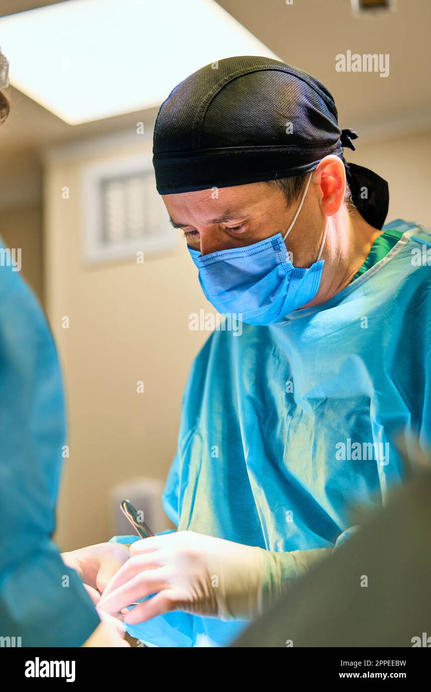 plastic surgeon operates on a patient in the operating room Stock Photo ...