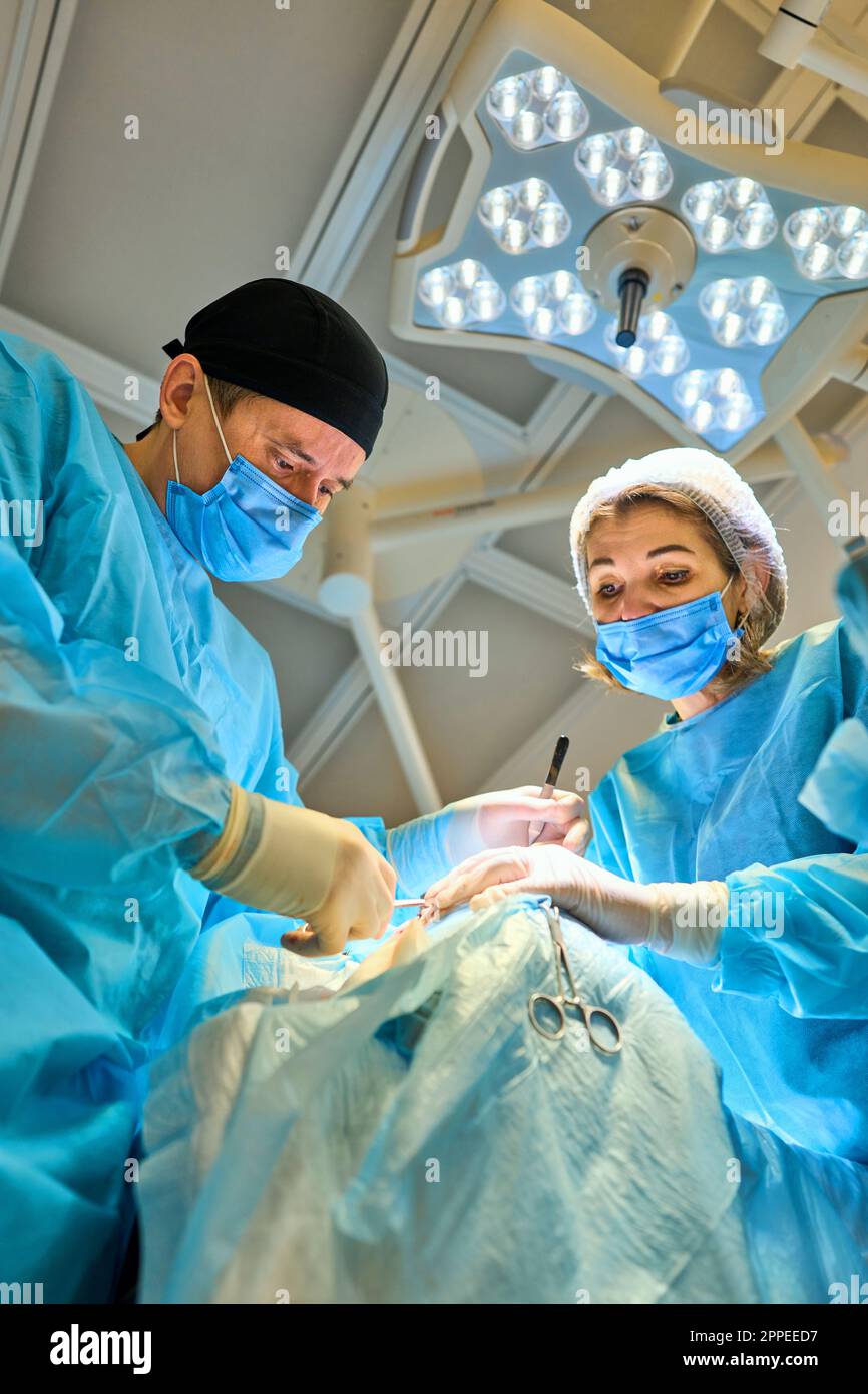 plastic surgeon operates on a patient in the operating room Stock Photo ...