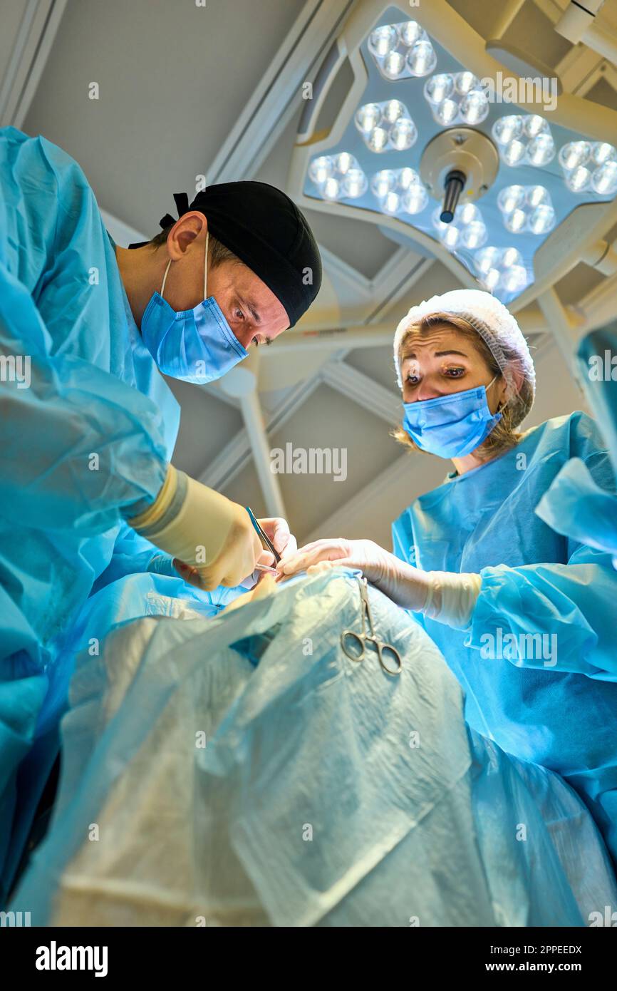 plastic surgeon operates on a patient in the operating room Stock Photo ...