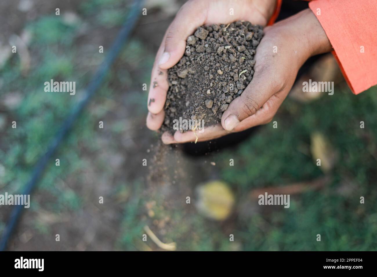 Indian farmer holding soil in hands, happy farming Stock Photo - Alamy