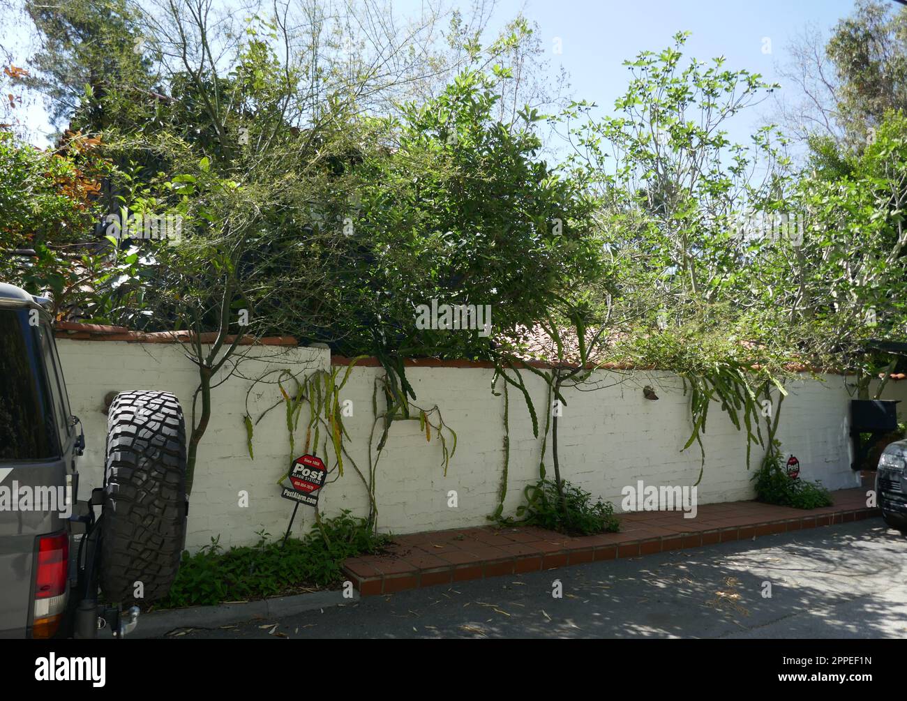 Los Angeles, California, USA 23rd April 2023 Actor Anthony Perkins ...