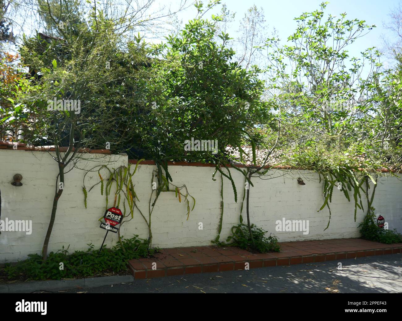 Los Angeles, California, USA 23rd April 2023 Actor Anthony Perkins ...