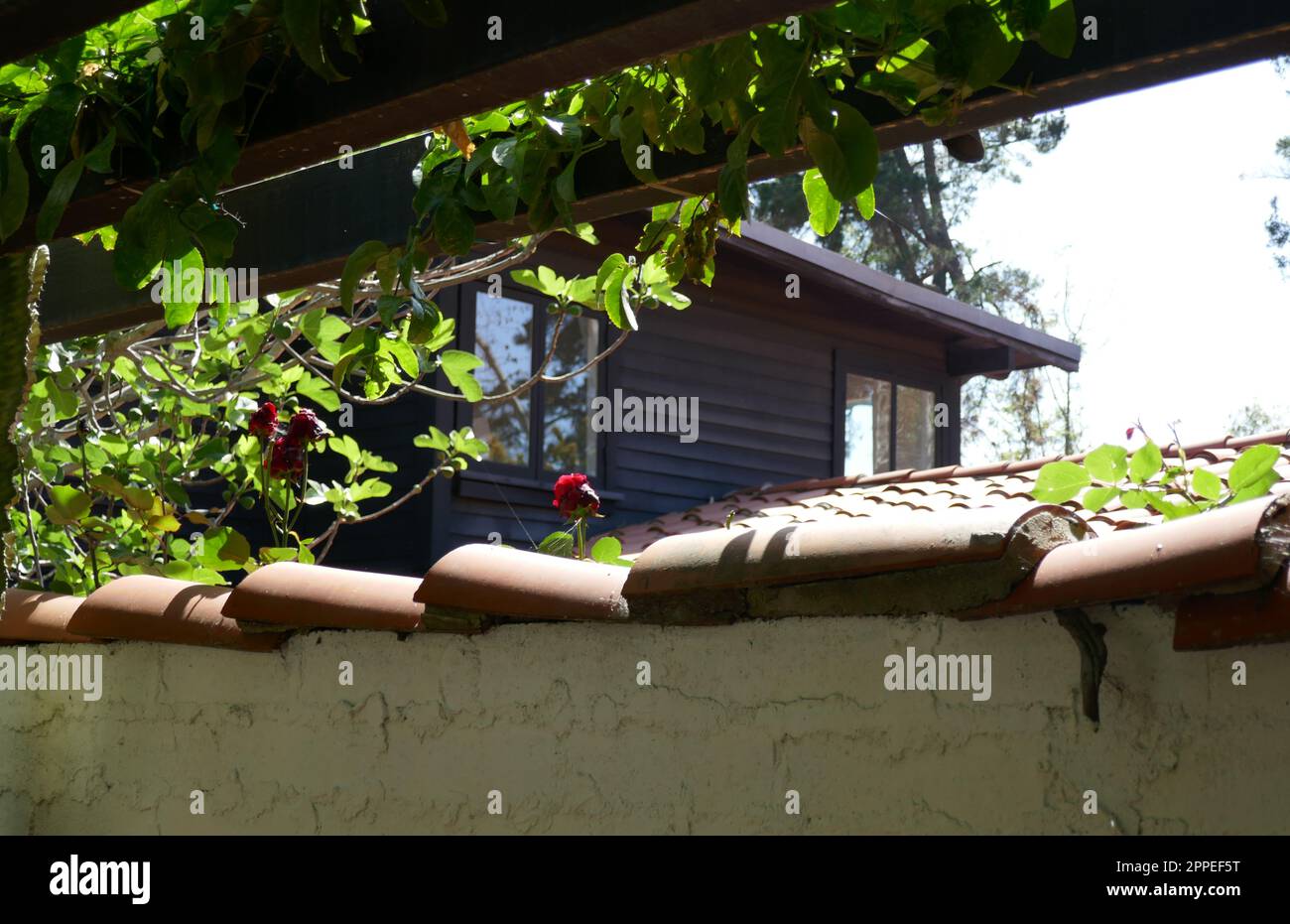 Los Angeles, California, USA 23rd April 2023 Actor Anthony Perkins ...