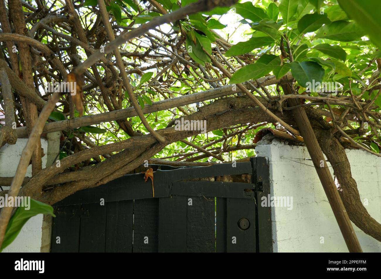 Los Angeles, California, USA 23rd April 2023 Actor Anthony Perkins ...