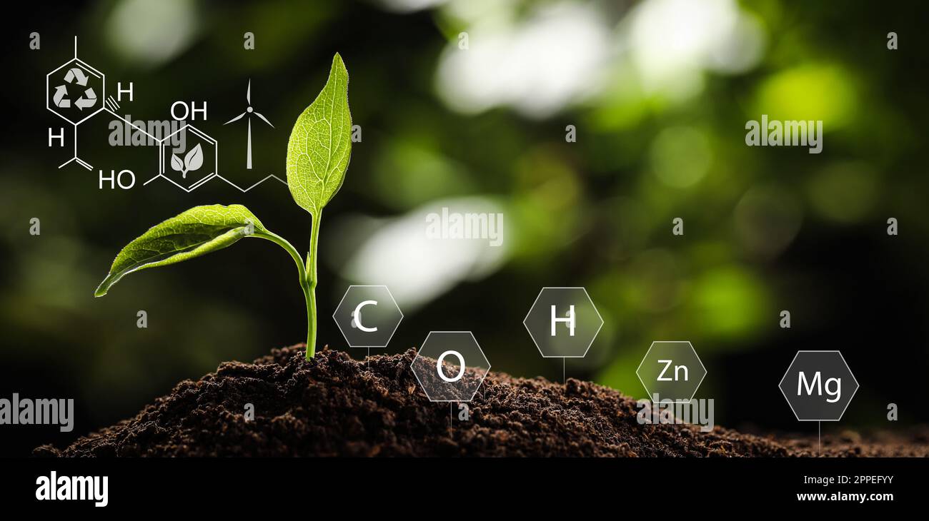 Illustration of chemical formula and elements. Young plant growing in ...