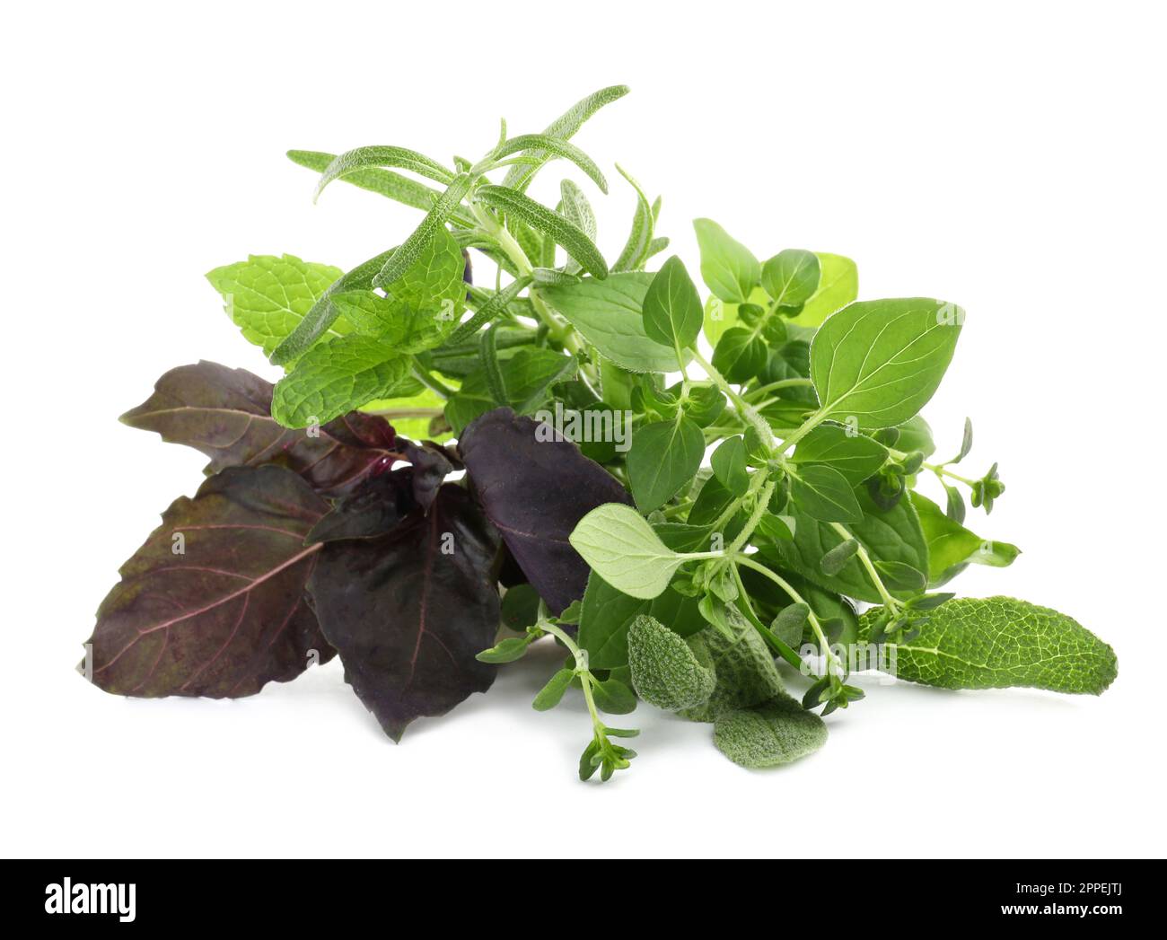 Various aromatic culinary herbs thyme Cut Out Stock Images & Pictures ...