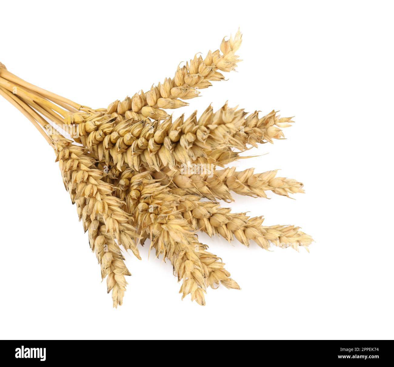 Bunch of dried wheat on white background Stock Photo - Alamy