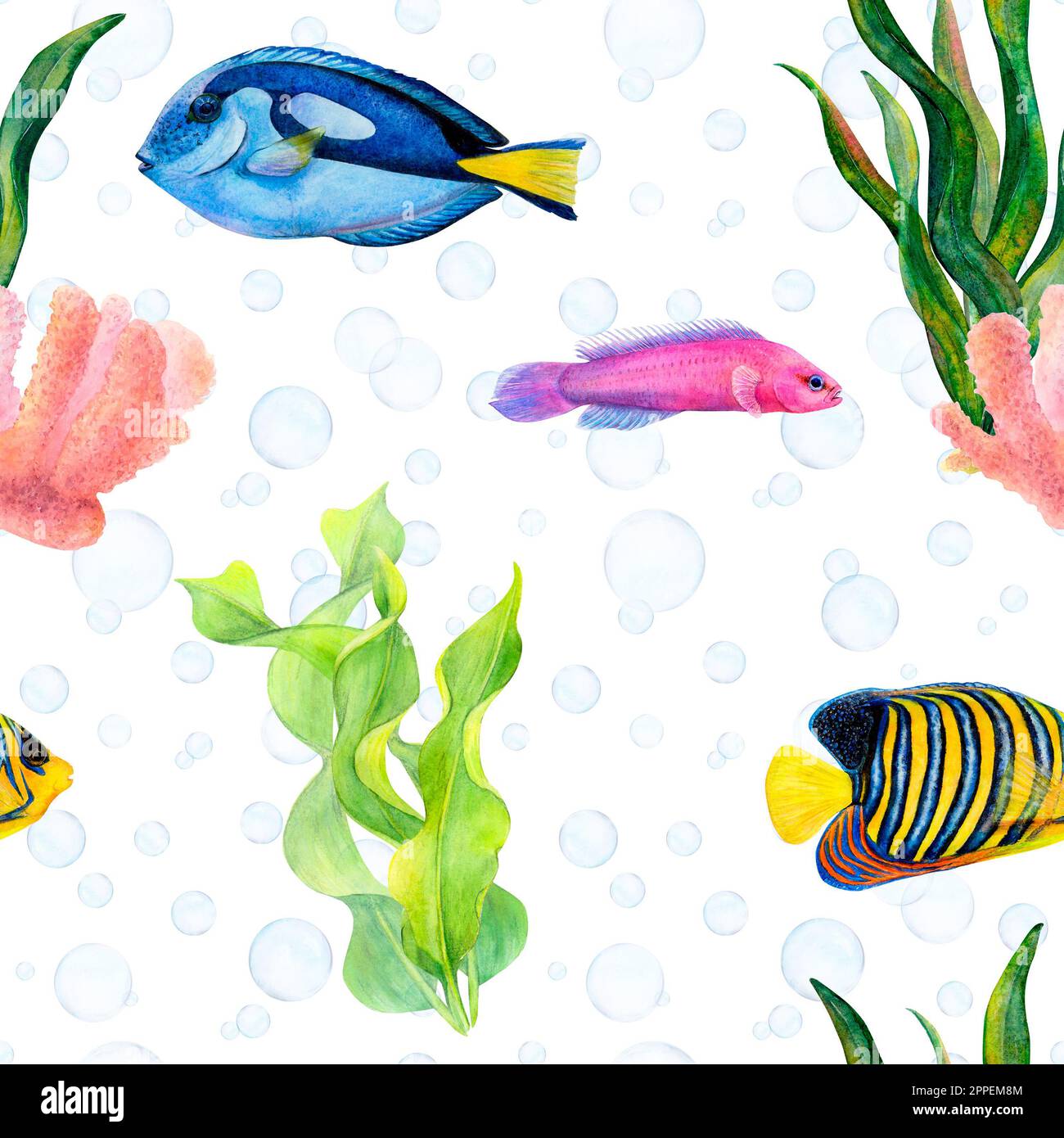 Watercolor drawing rapport of ribbon algae, butterfly fish, surgeon ...