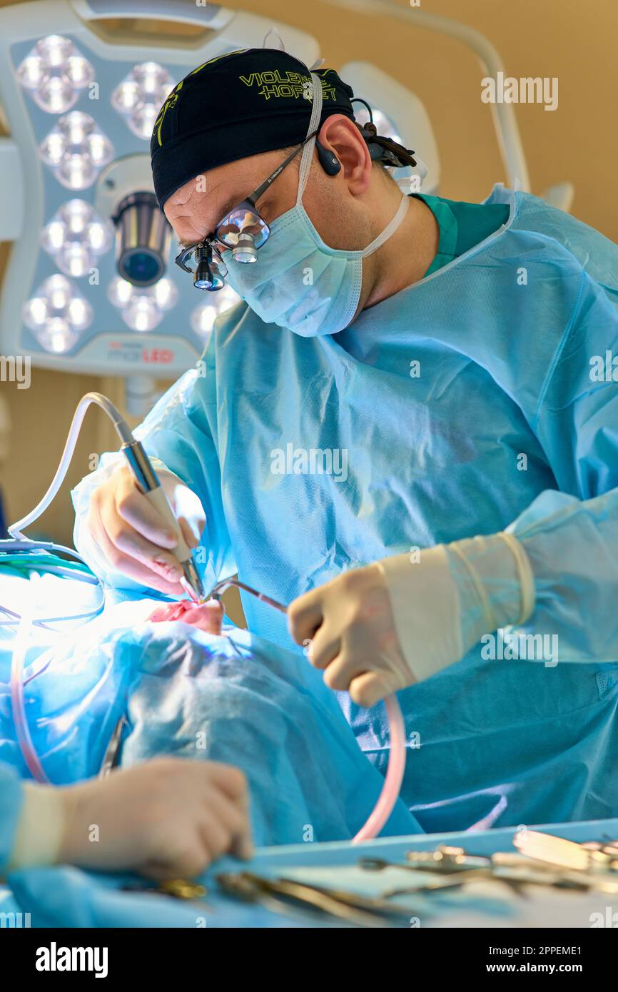 plastic surgeon operates on a patient in the operating room Stock Photo ...