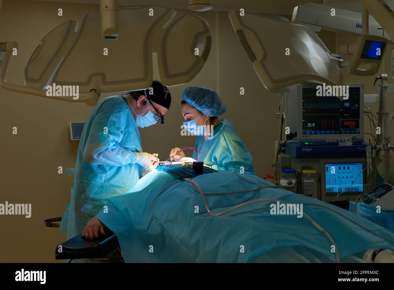 plastic surgeon operates on a patient in the operating room Stock Photo ...
