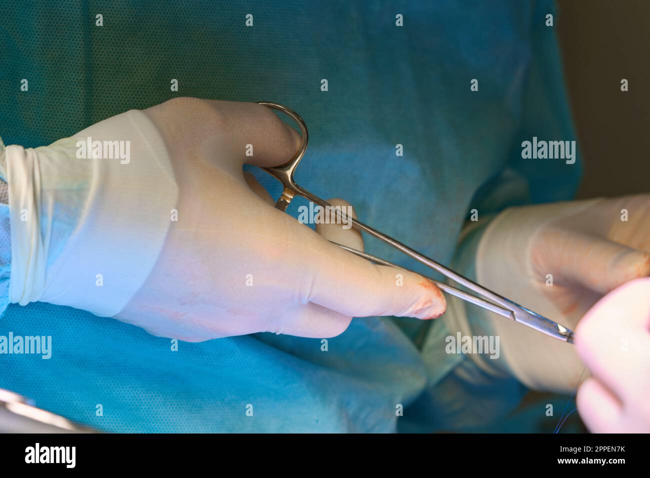 Doctor surgical forceps hi-res stock photography and images - Alamy