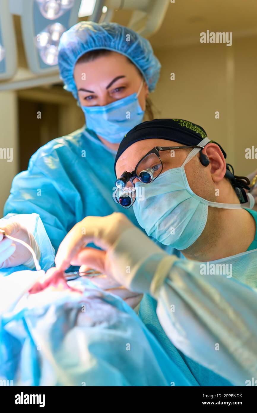 plastic surgeon operates on a patient in the operating room Stock Photo ...