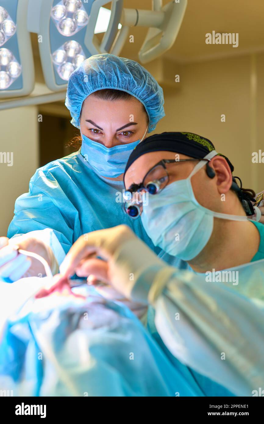 Abdominoplasty plastic surgery team surgeon hi-res stock photography ...