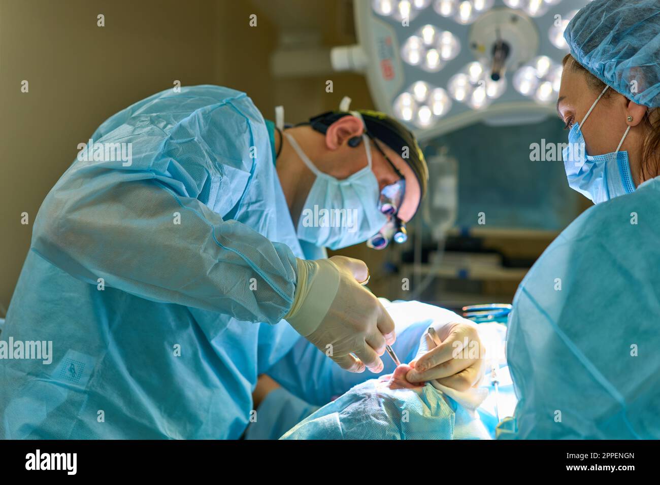 plastic surgeon operates on a patient in the operating room Stock Photo ...