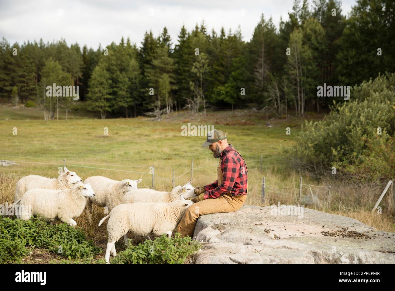 Man working dairy farm field hi-res stock photography and images - Alamy
