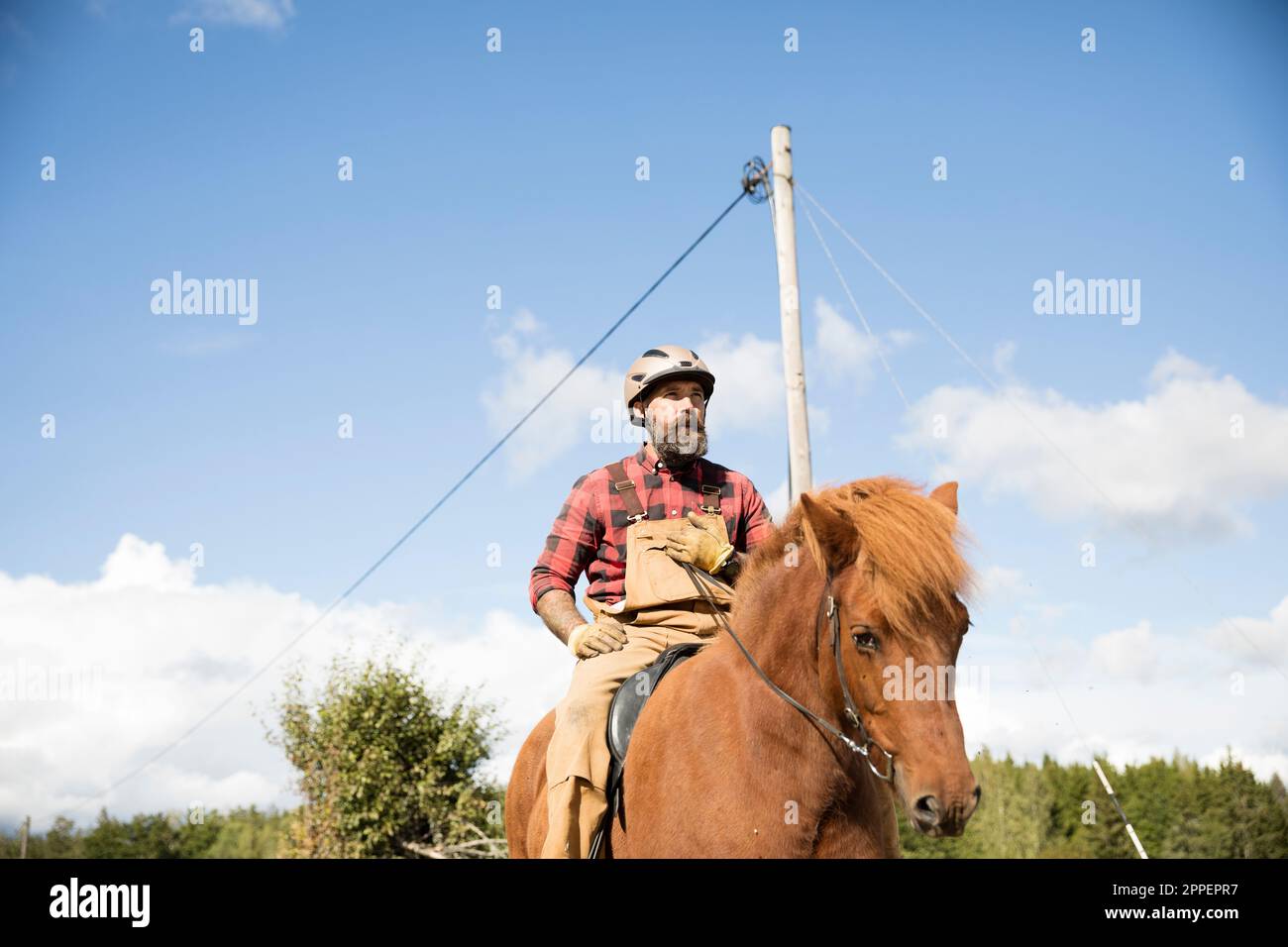 Male farmer in helmet riding horse Stock Photo - Alamy