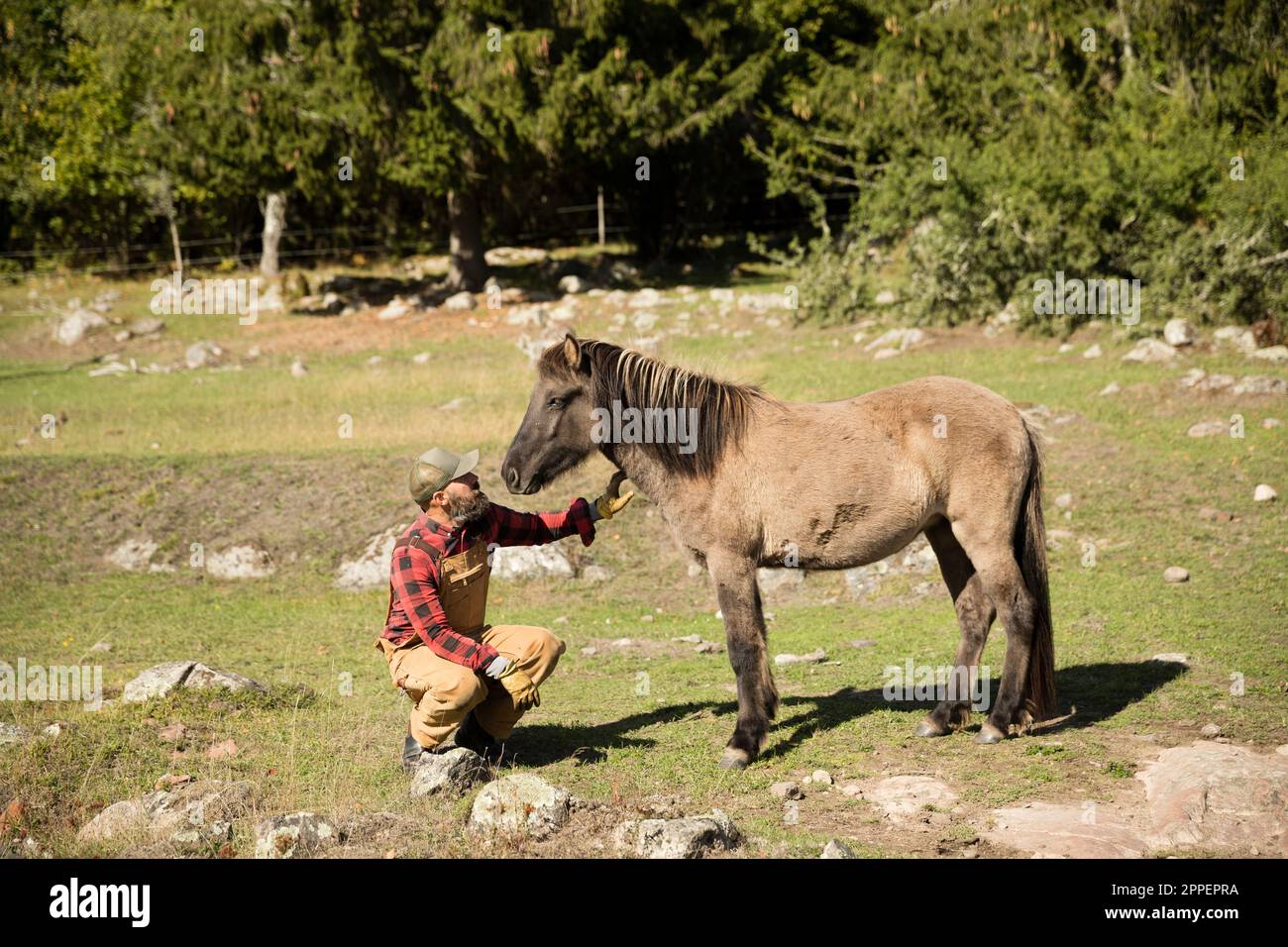 Peasant man with horse hi-res stock photography and images - Alamy