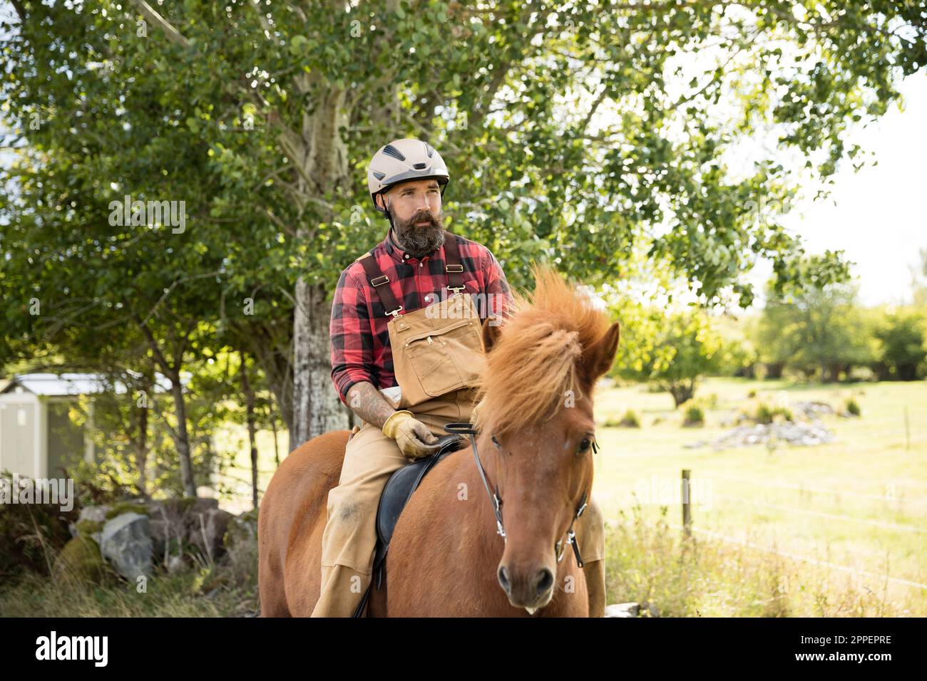 Male farmer in helmet riding horse Stock Photo - Alamy