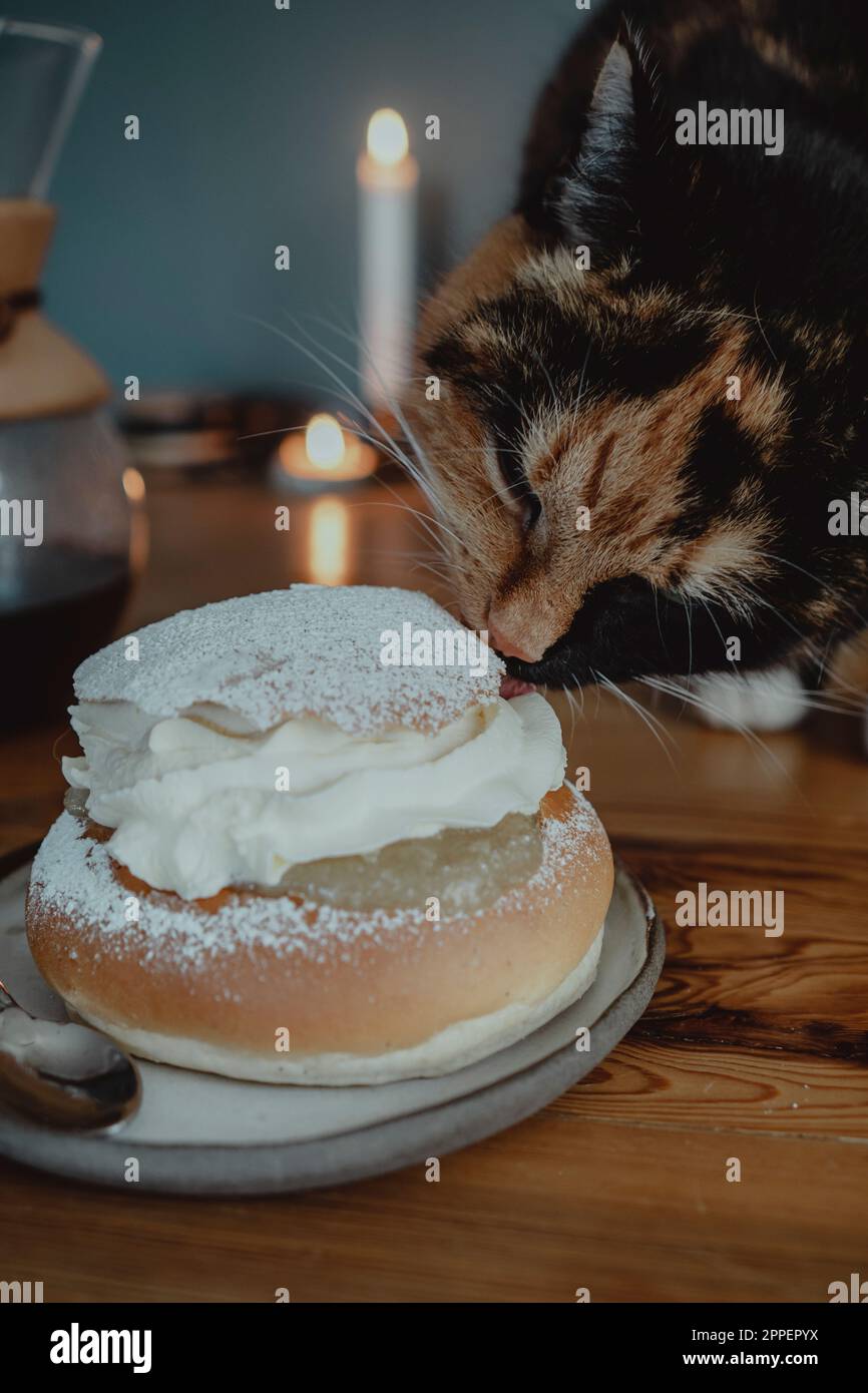 Bun on table hi-res stock photography and images - Alamy