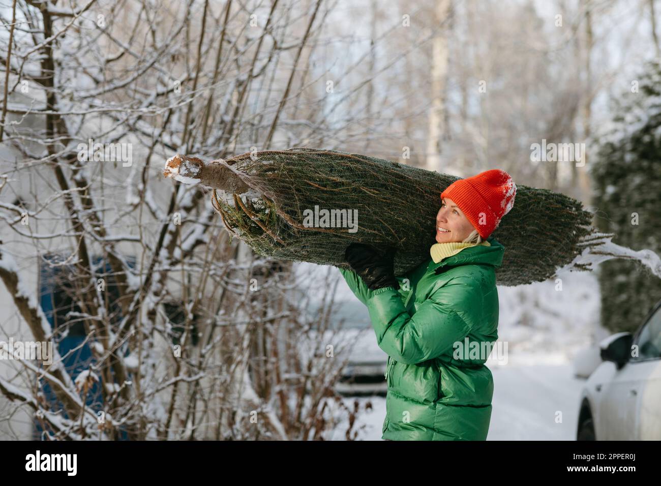 Mature looking christmas tree hi-res stock photography and images - Alamy