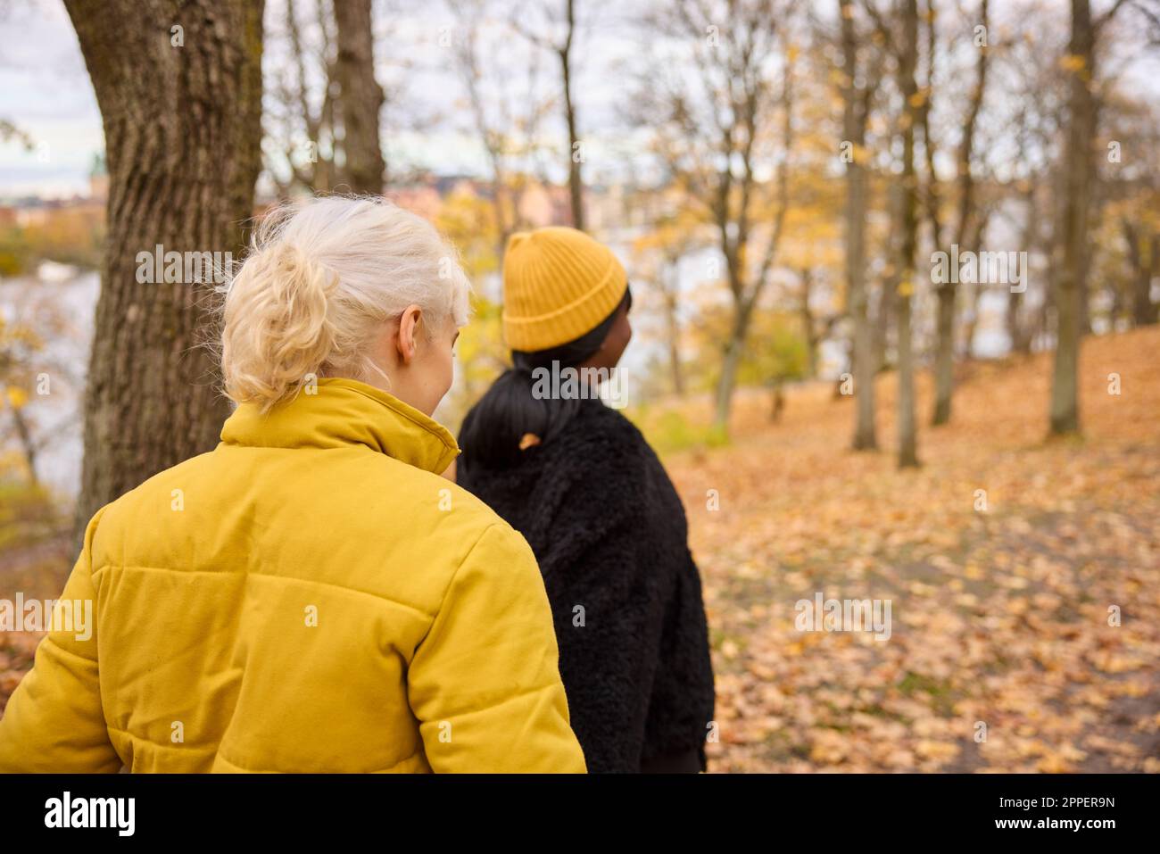 Female friends having autumn walk together Stock Photo - Alamy