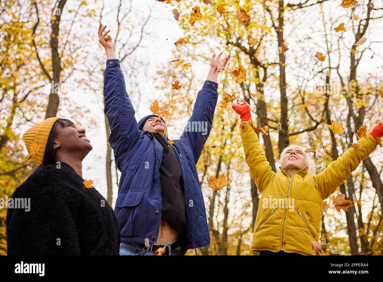 Fallen leaf the fall hi-res stock photography and images - Alamy