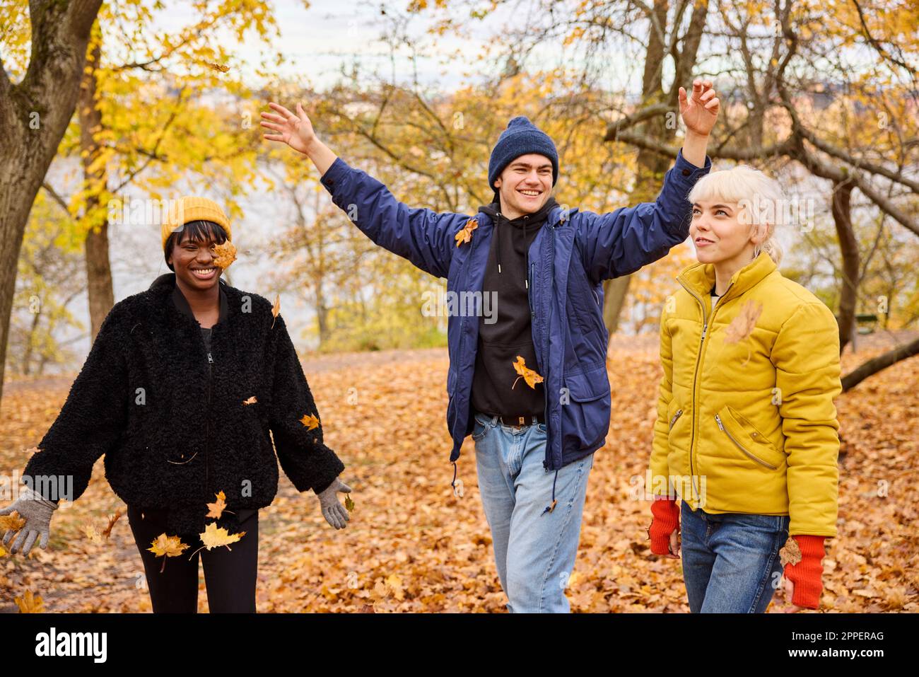 Free leaves hi-res stock photography and images - Alamy