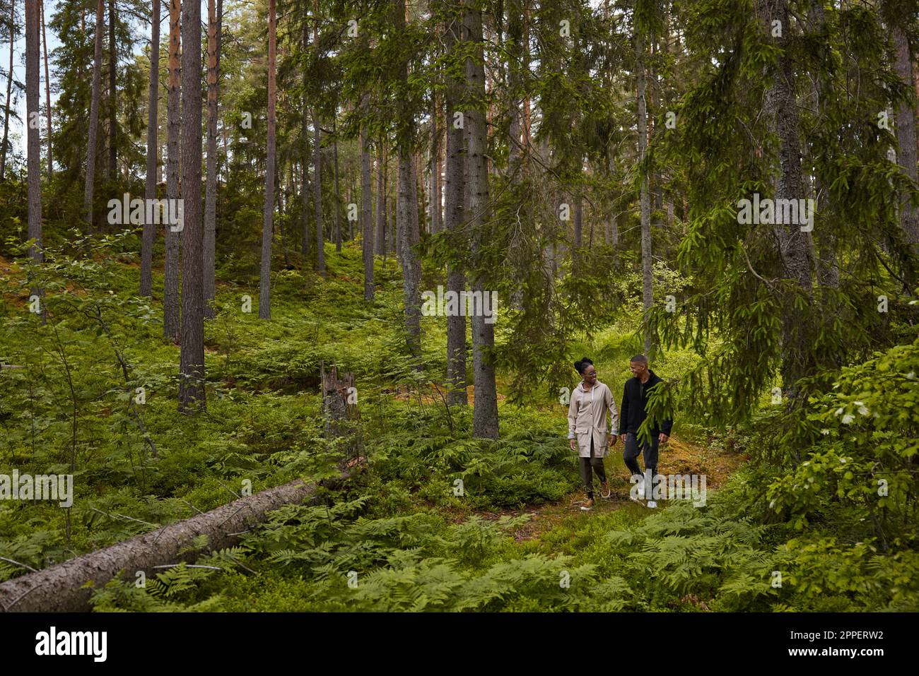 Friends walking through woods hi-res stock photography and images - Alamy