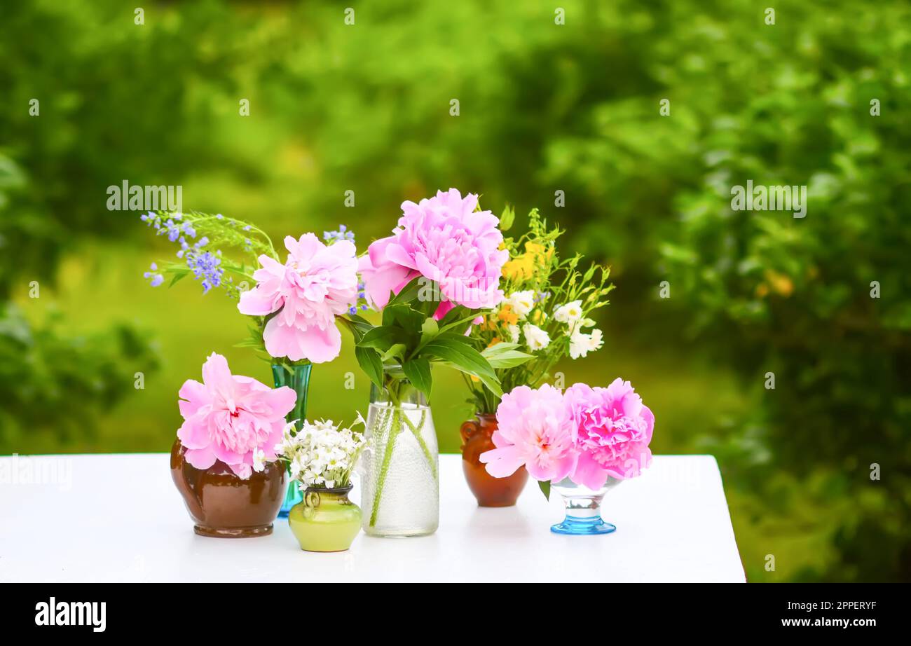 Pink peonies. Beautiful spring flowers in flowering season Stock Photo ...