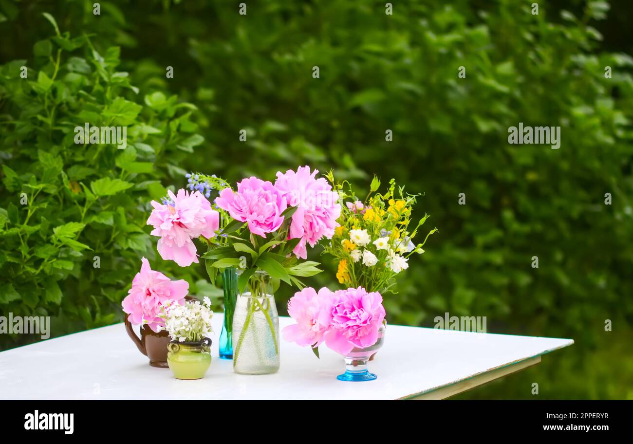 Pink peonies. Beautiful spring flowers in flowering season Stock Photo ...