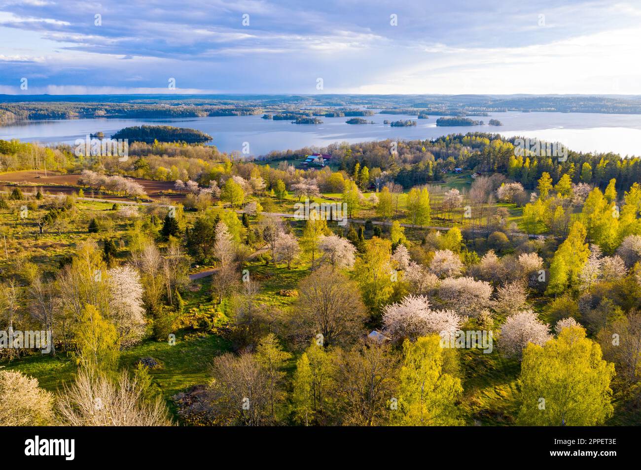 Landscape with spring trees Stock Photo - Alamy