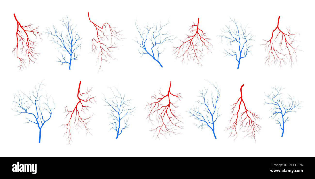 Human eye blood veins vessels silhouettes vector illustration set ...