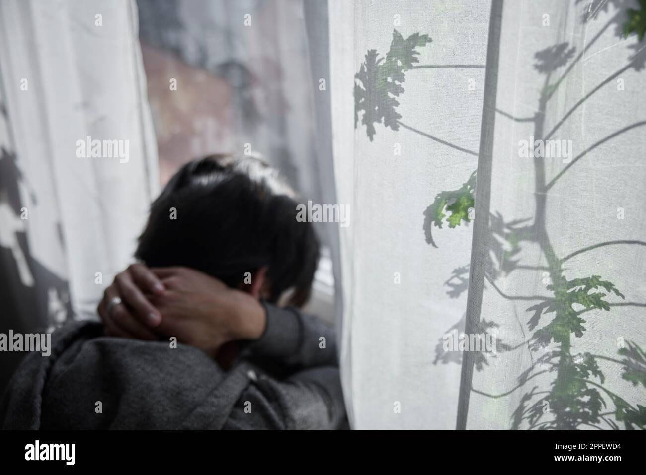 Rear view of person sitting in front of window Stock Photo - Alamy