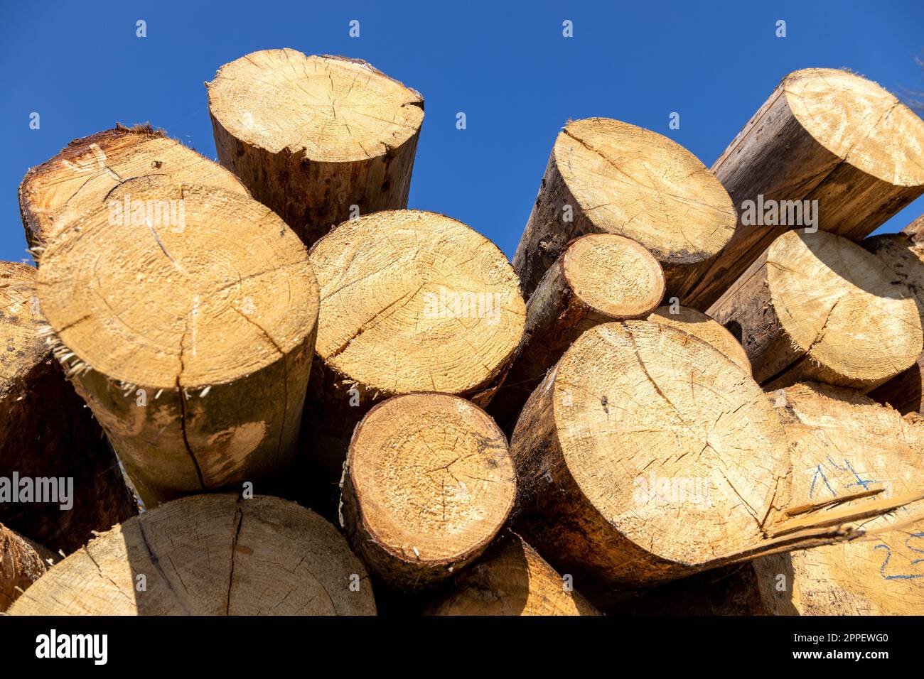 Lesy cr hi-res stock photography and images - Alamy