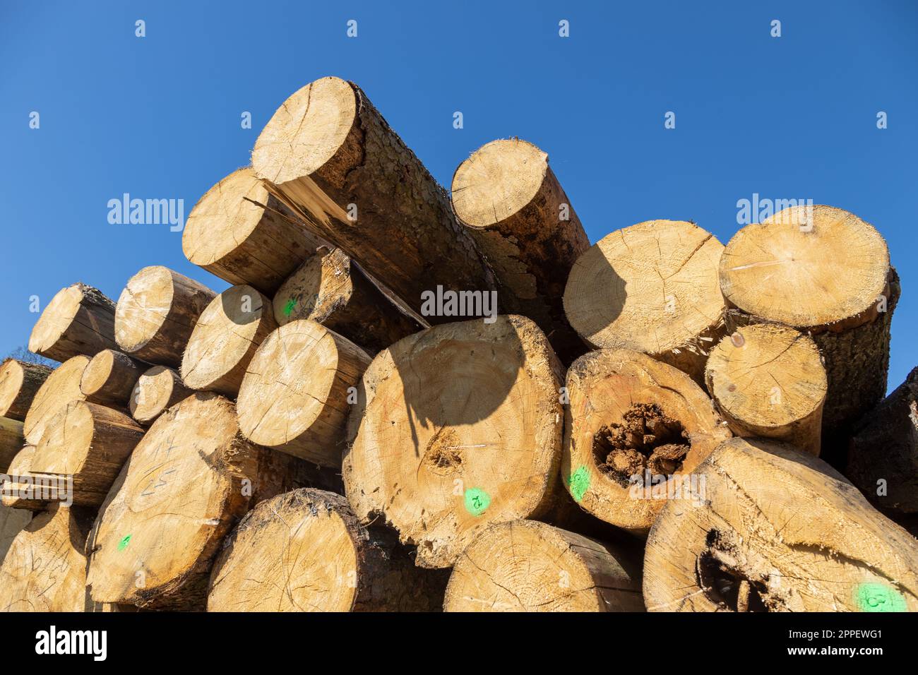 Lesy cr hi-res stock photography and images - Alamy