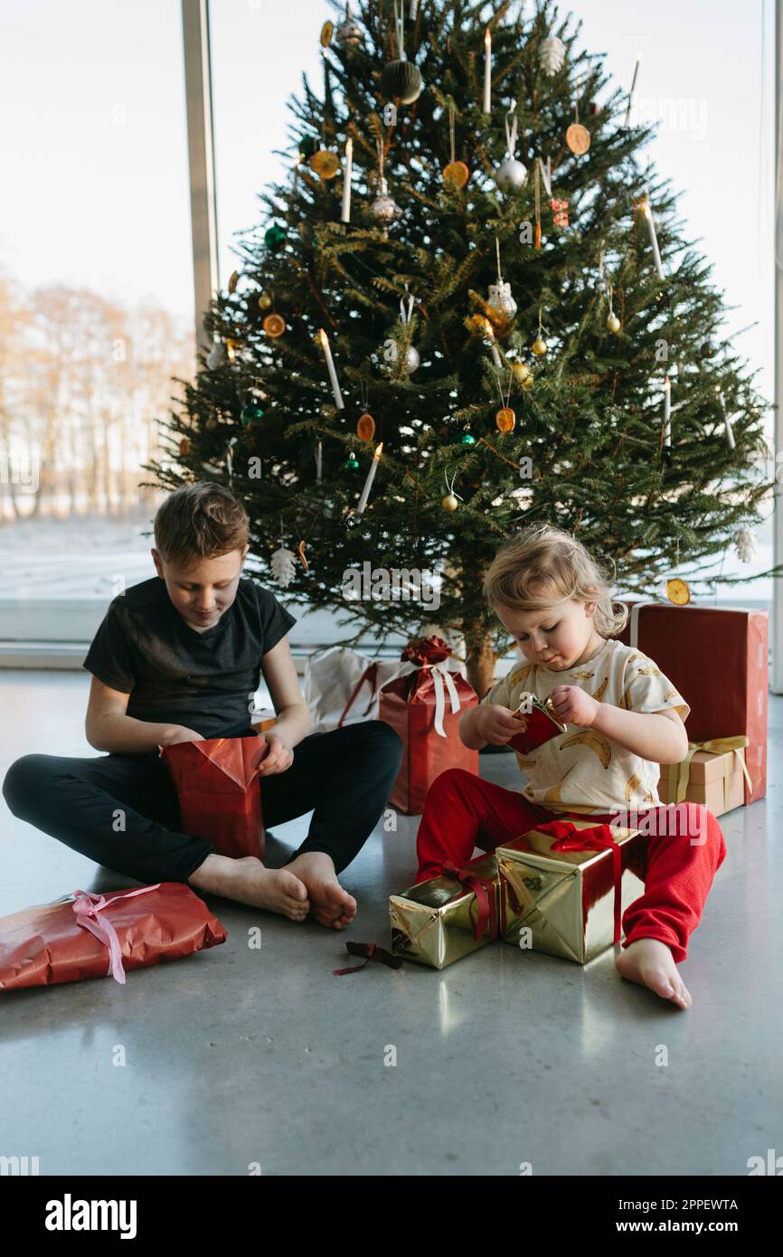 Brother and sister opening Christmas presents under Christmas tree ...